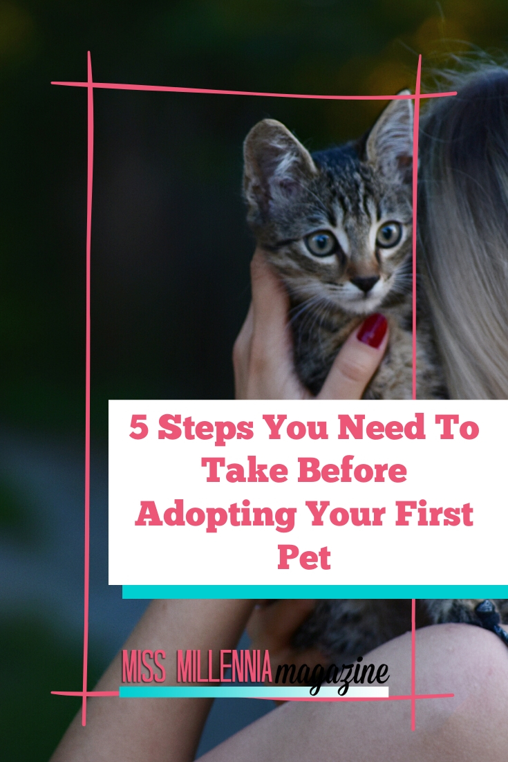 5 Steps You Need To Take Before Adopting Your First Pet