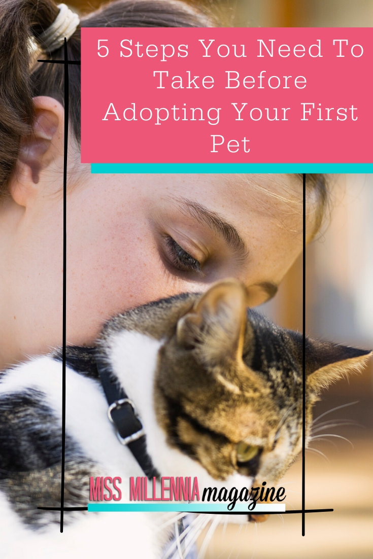 5 Steps You Need To Take Before Adopting Your First Pet