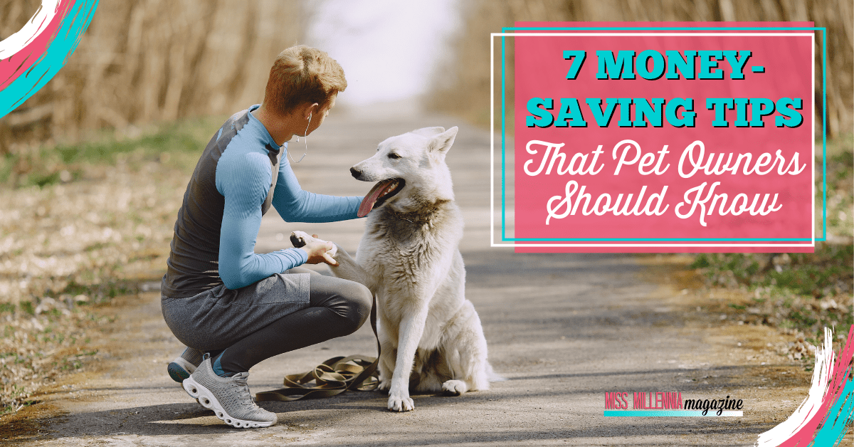 7 Money-Saving Tips That Pet Owners Should Know (2022)