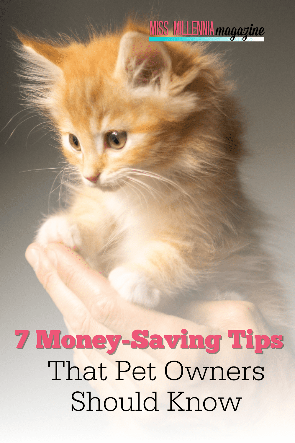 7 Money-Saving Tips That Pet Owners Should Know (2022)