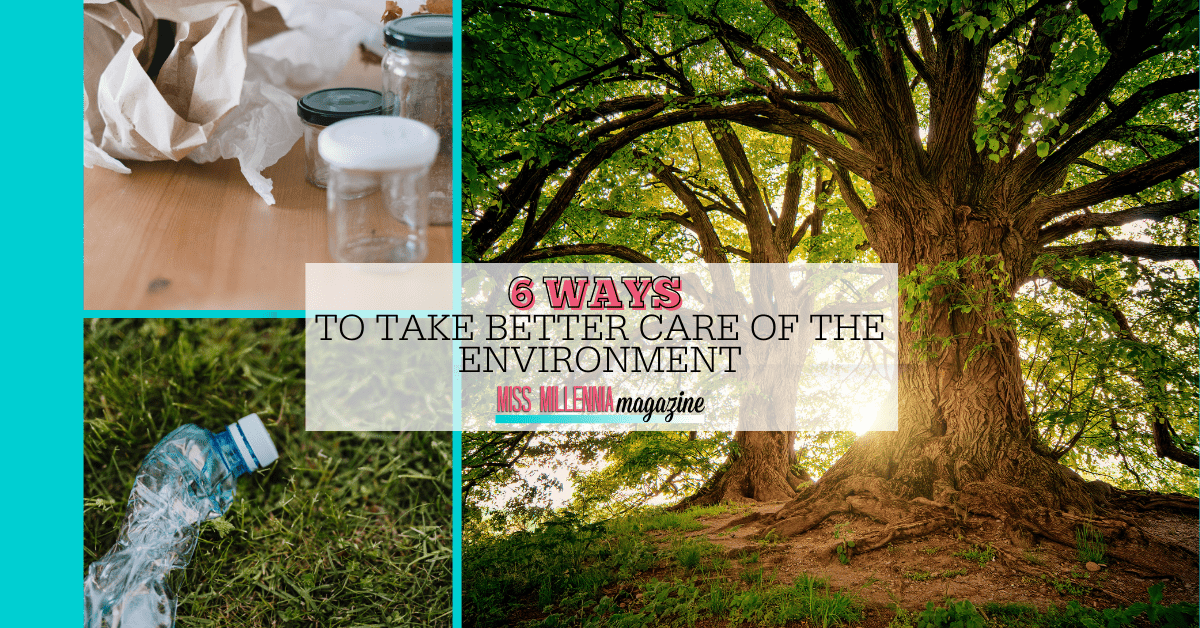 6 Ways To Take Better Care Of The Environment (2022)